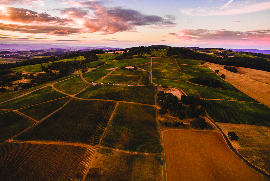 Stoller Vineyard Cultivates an Enduring Legacy of Oregon Wine