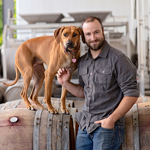 Staff Holiday Traditions - Stoller