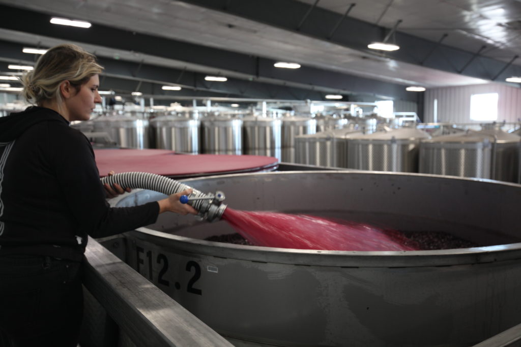 Join our Harvest Team! - Stoller