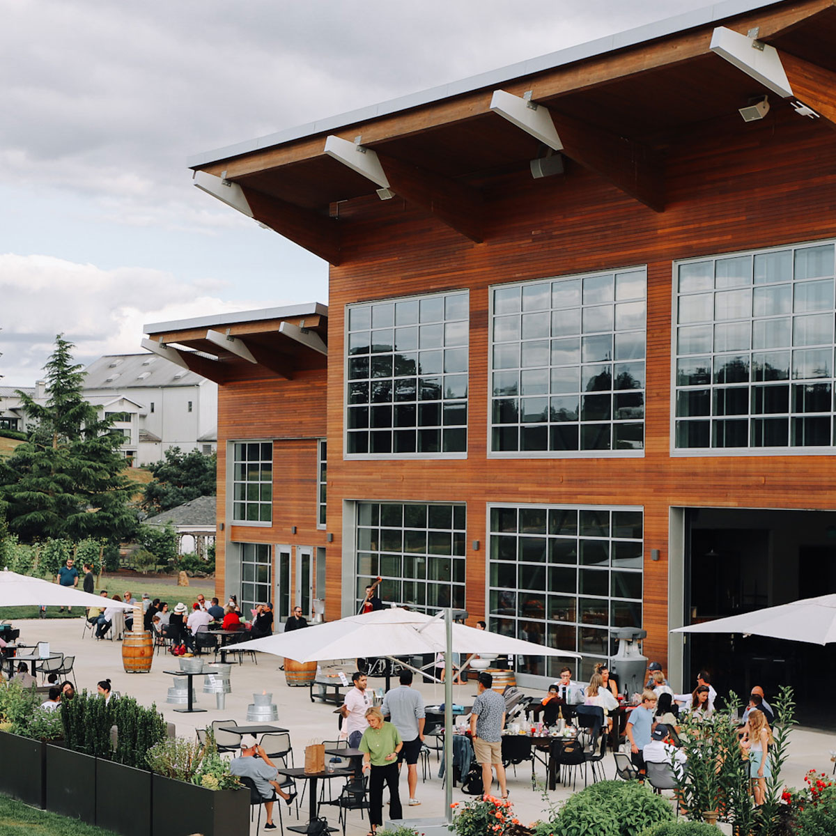 Host Your Next Corporate Event at Stoller Family Estate Winery